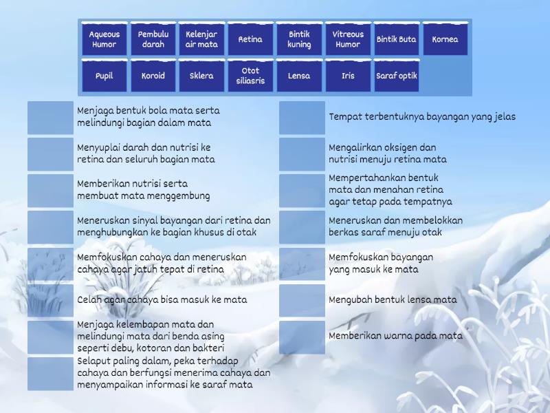 Fungsi Bagian Mata - Match up