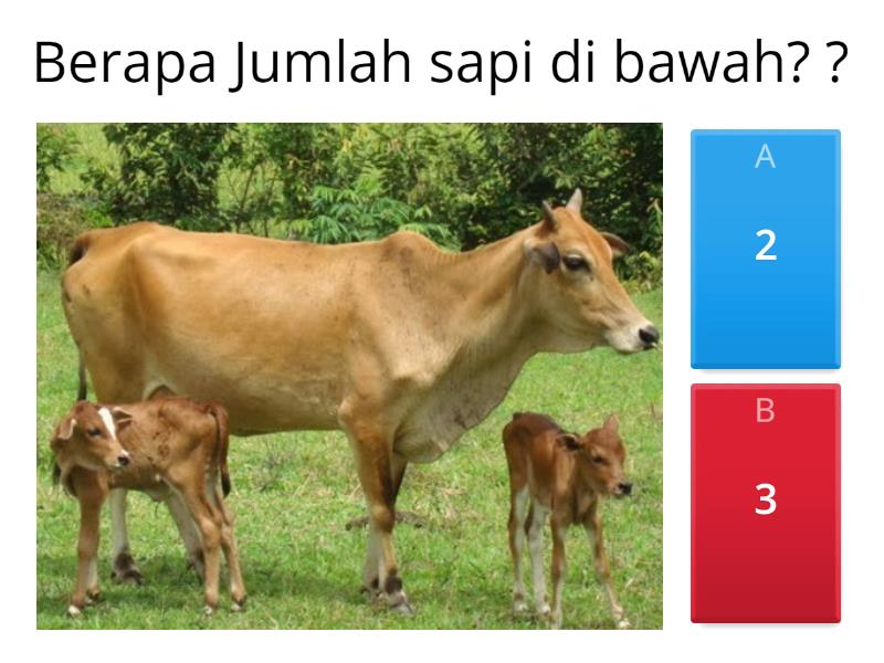 Menghitung Jumlah sapi - Quiz