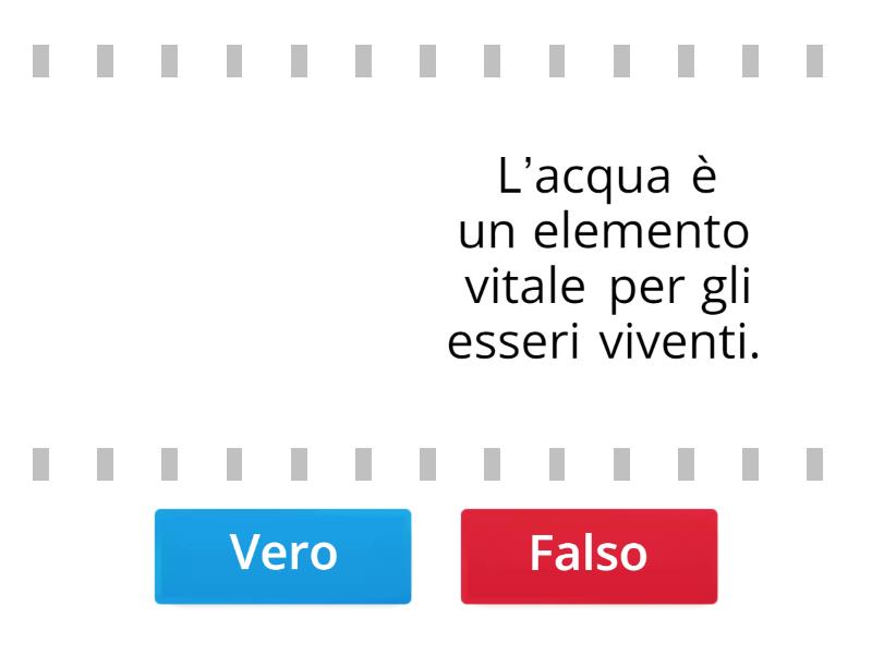VERIFICA FINALE - True or false