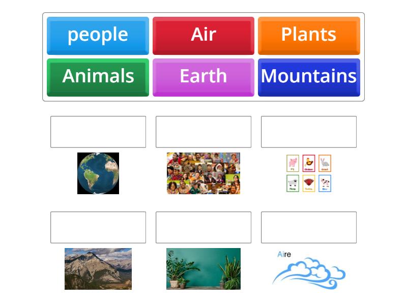 Environment - Match up