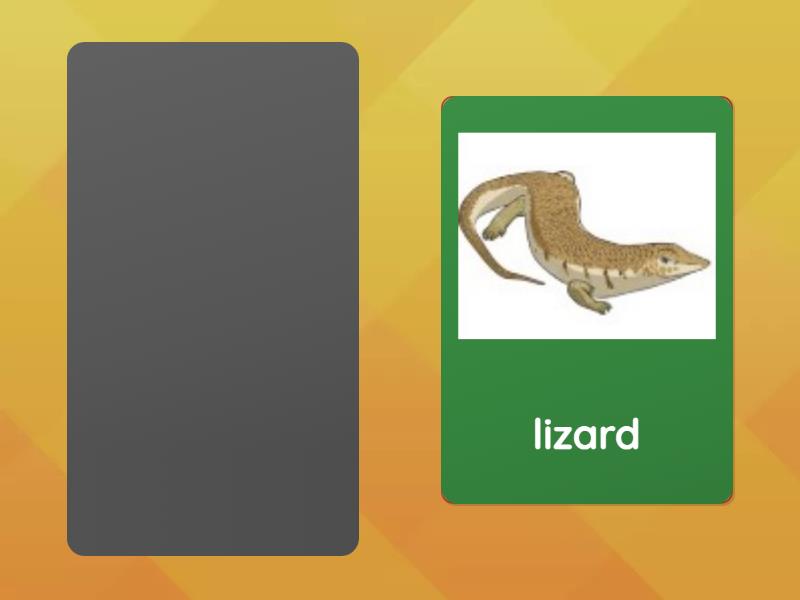 Animals - Speaking cards