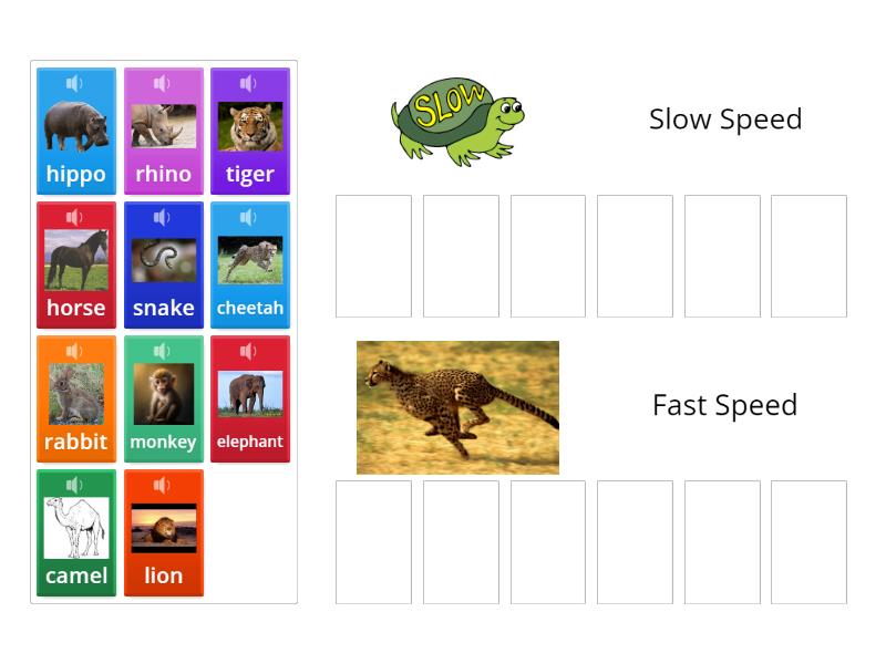Slow vs Fast - Group sort