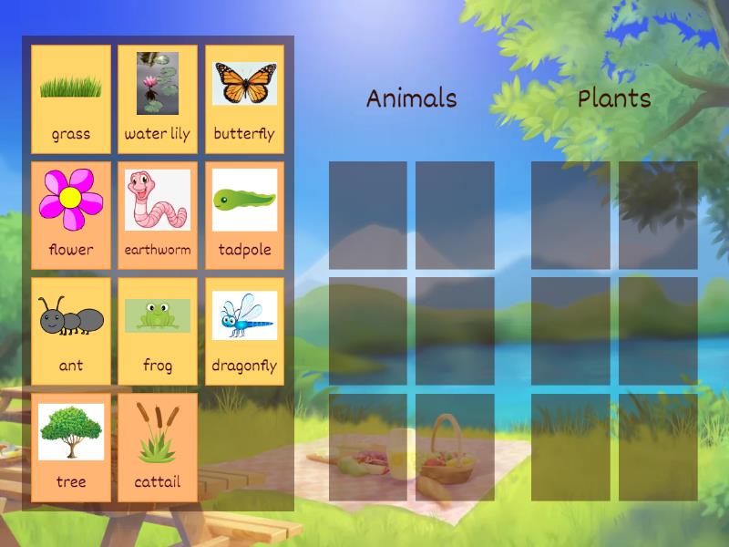 Keywords1,2 -Unit 3 - Group sort