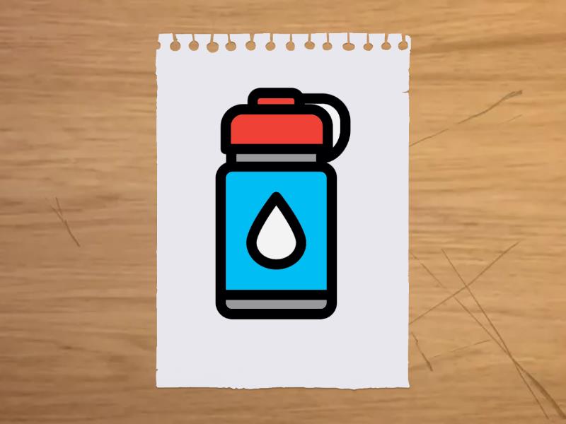 GUESS THE FLASHCARD - Flash cards