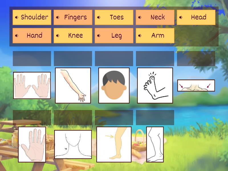Parts of the Body (Vocab) - Une las parejas