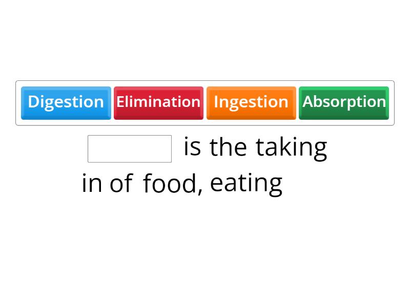 Digestive System - Info gap Task - Complete the sentence