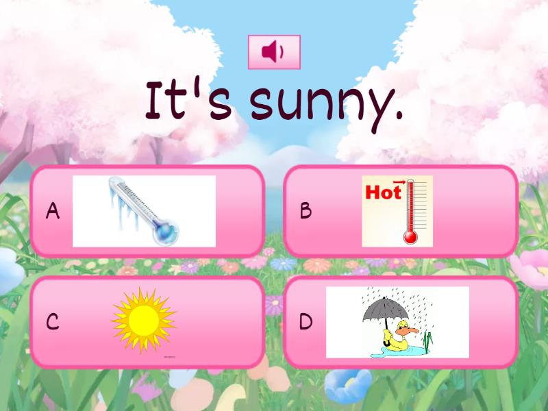 Quick minds 1 Weather - Викторина