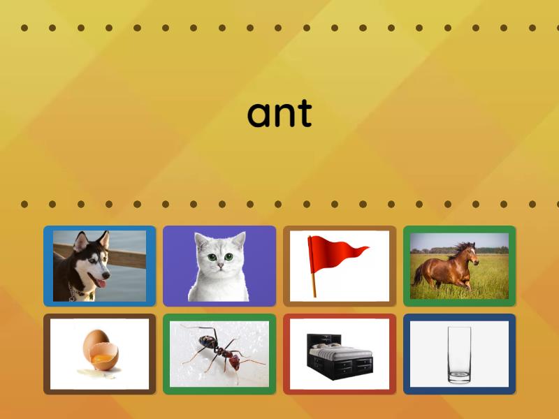 Spotlight 2 Letters a-h -3 - Find the match