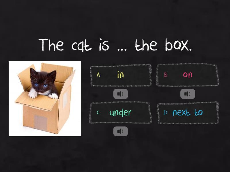 Prepositions of place: in, on, under, next to, between, in front of ...