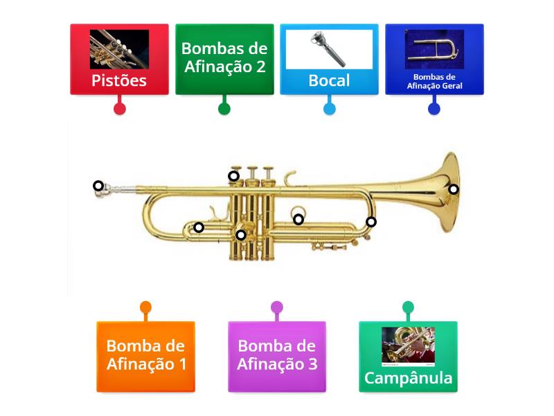 Partes do Trompete - Labelled diagram