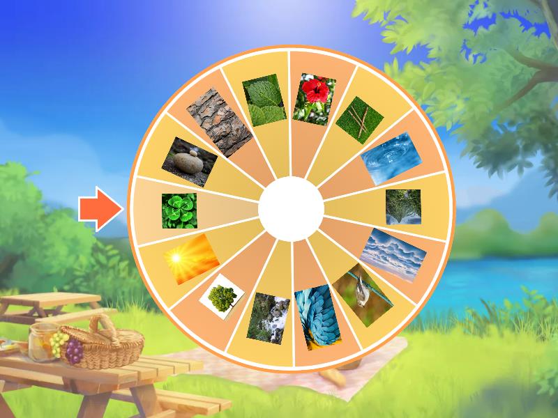 LA NATURE - Spin the wheel