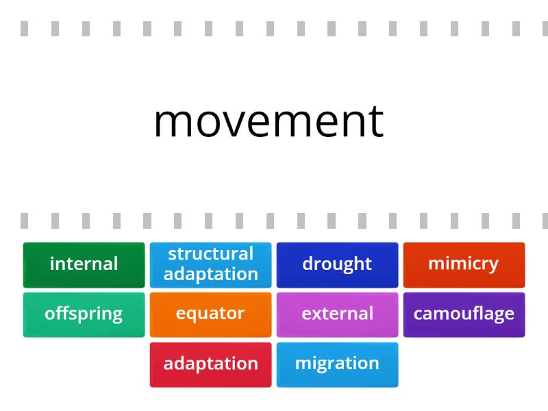Animal Adaptation Vocabulary - Find the match