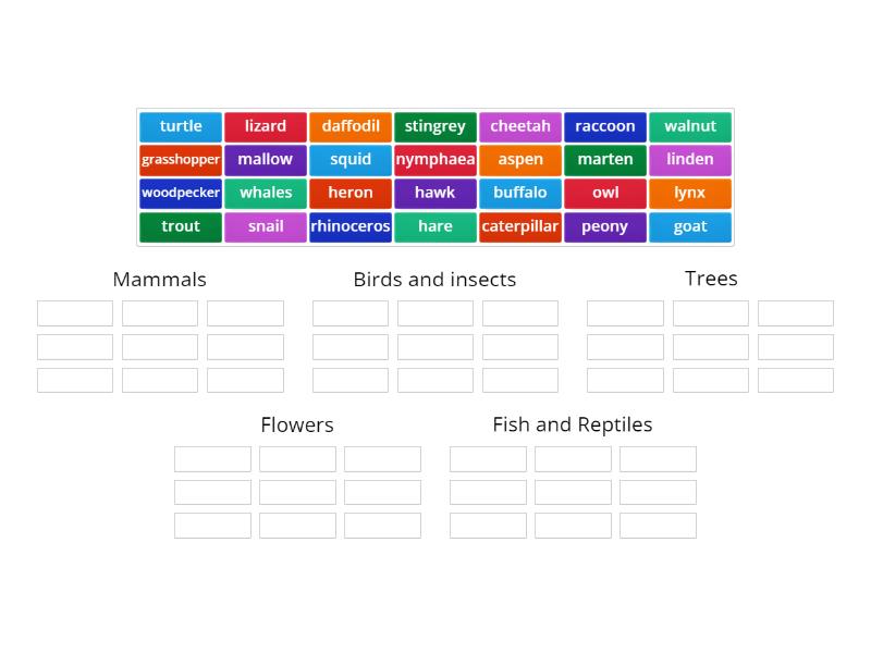 Form 11 Unit 5 Lesson 5 sorting game Living organisms - Group sort