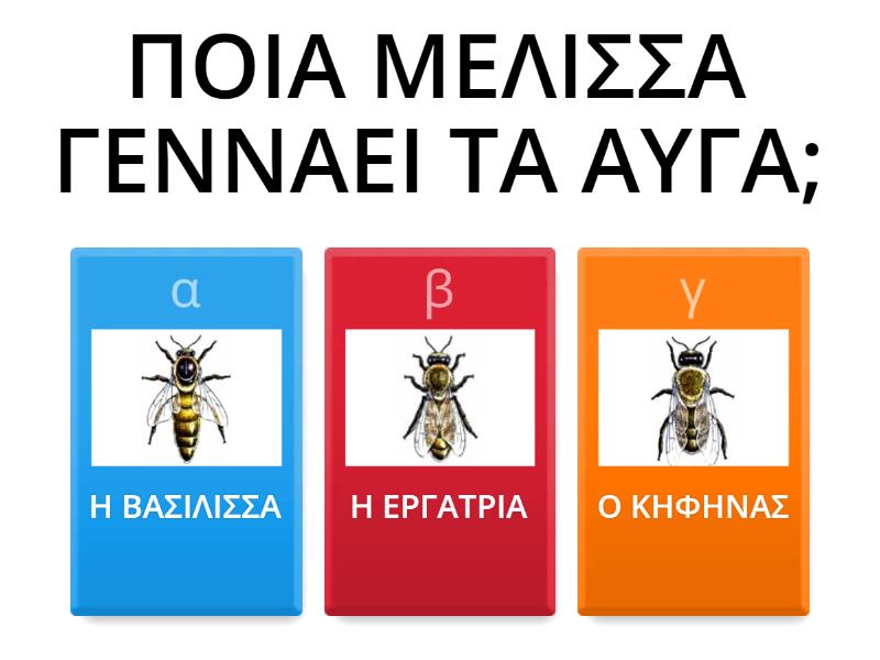 Η ΚΟΙΝΩΝΙΑ ΤΩΝ ΜΕΛΙΣΣΩΝ - Quiz