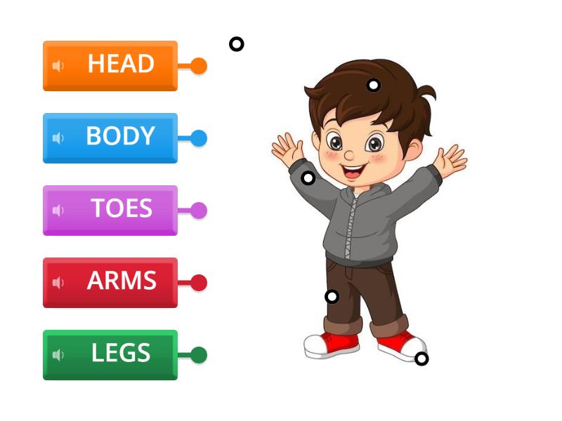 6. Body parts boy - Labelled diagram