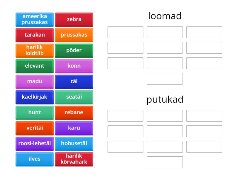 loomad ja putukad - Group sort