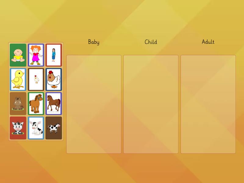 Baby,Child and Adult - Categorize