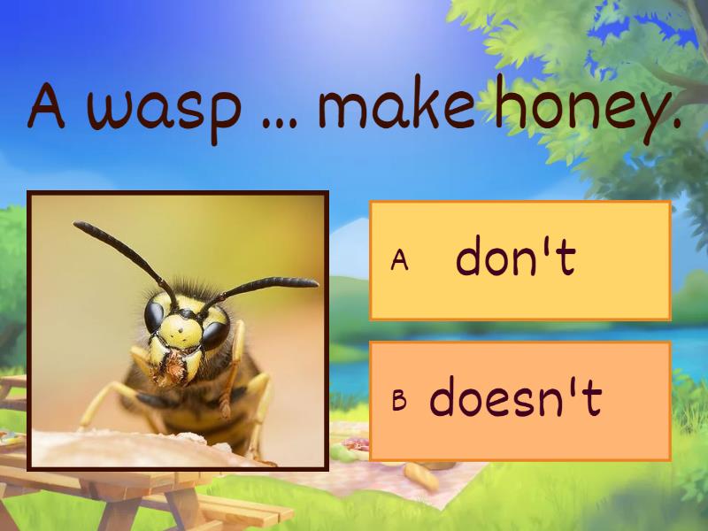 Spotlight 5 Module 5 Insects Present Simple - Quiz