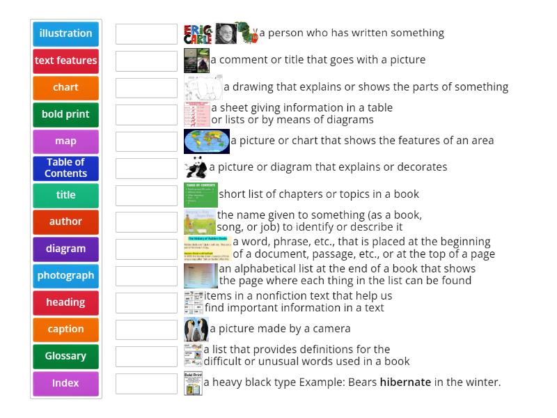 Text Features - Match up