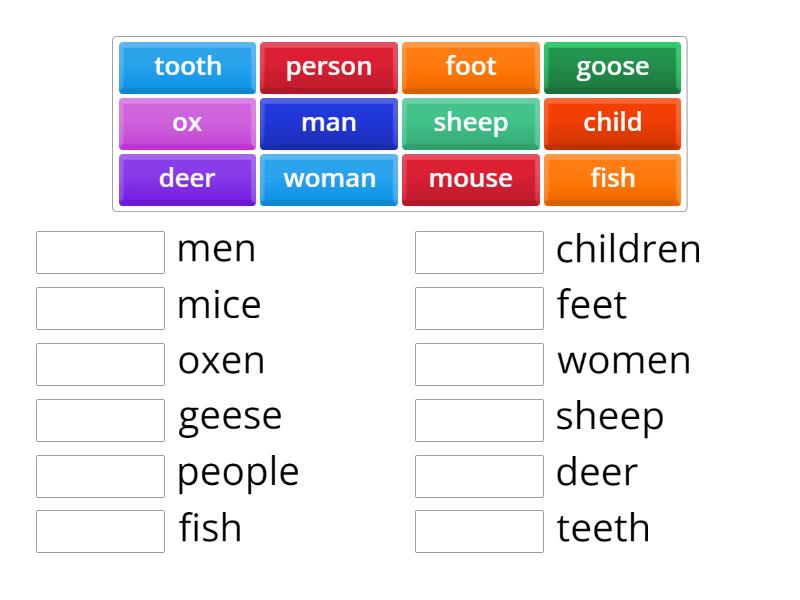 Irregular Singular and Plural Nouns - Match up