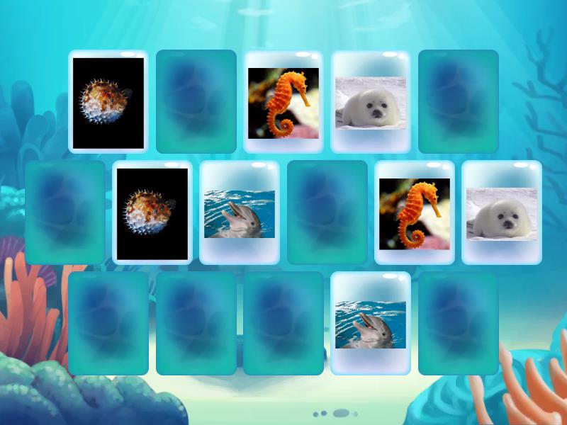 Sea animals (memory) - Matching pairs