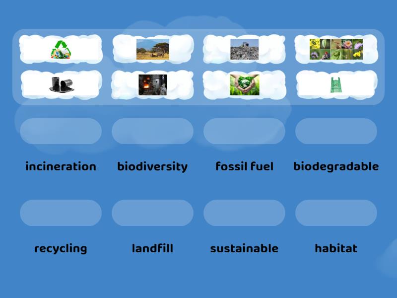Environment - Match up