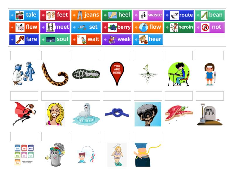 Homophones part 2 - Match up