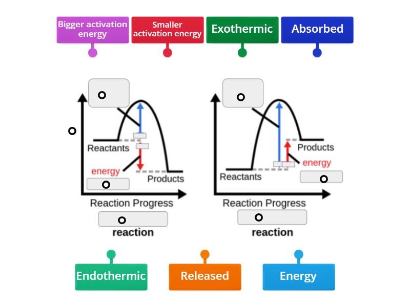 Exothermic & Endothermic Energy Profiles - Labelled diagram