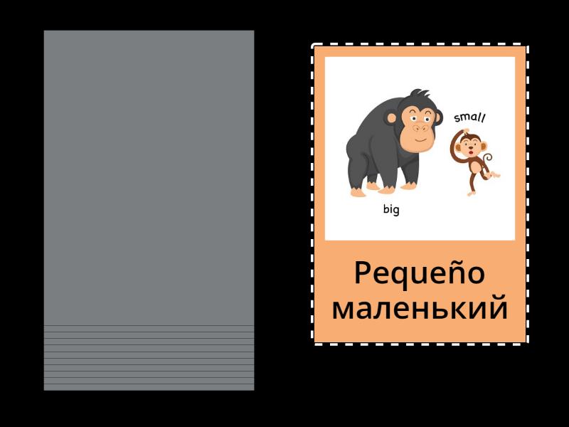 Ser + adjetivo - Speaking cards