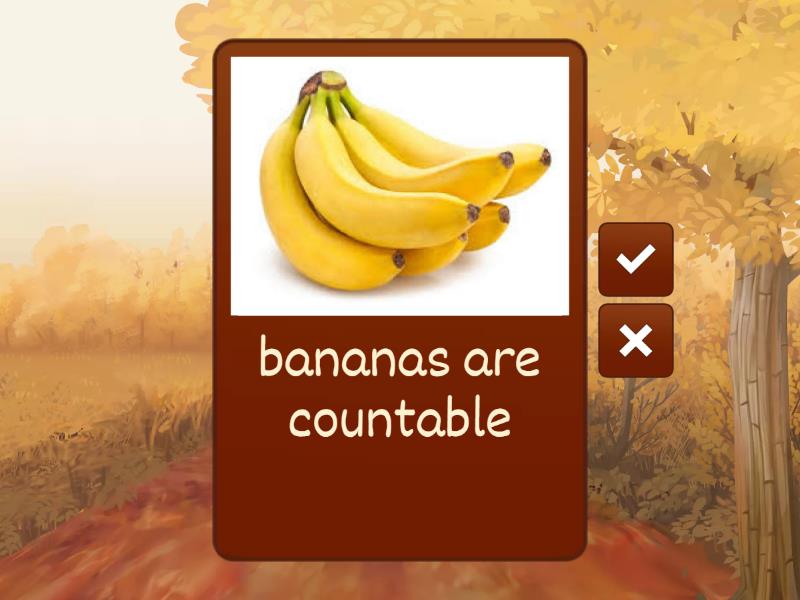 countable and uncountable nouns(True or False ) - Flash cards