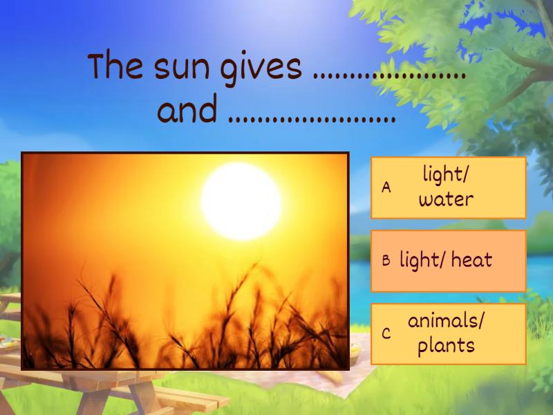 Reading Practice_The Sun - Quiz