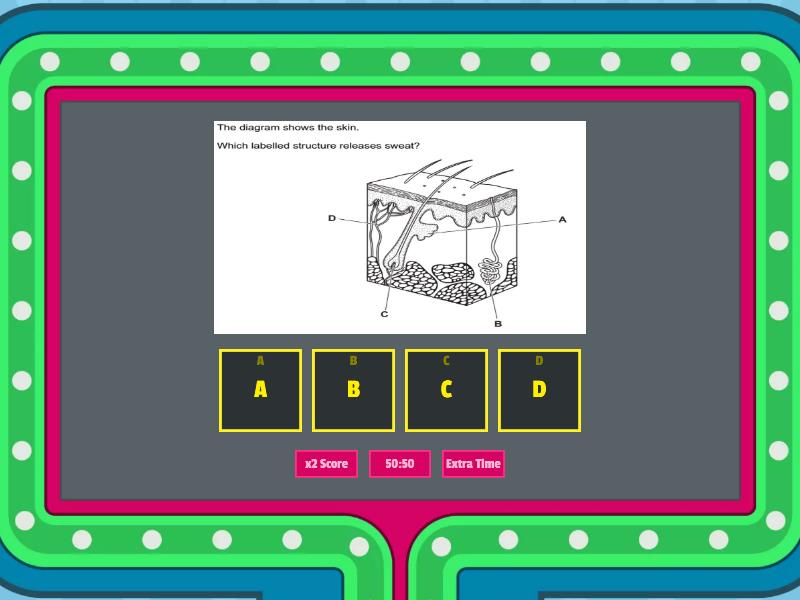 Homeostasis - Game show de TV