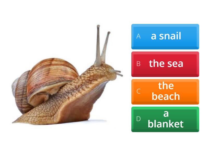 Storyfun 3 Henry's holiday - Quiz