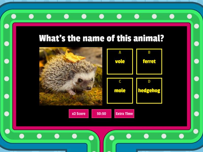 Name these animals! - Gameshow quiz