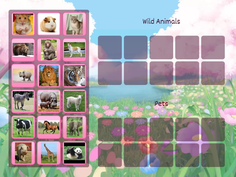 Wild animals vs pets - Group sort