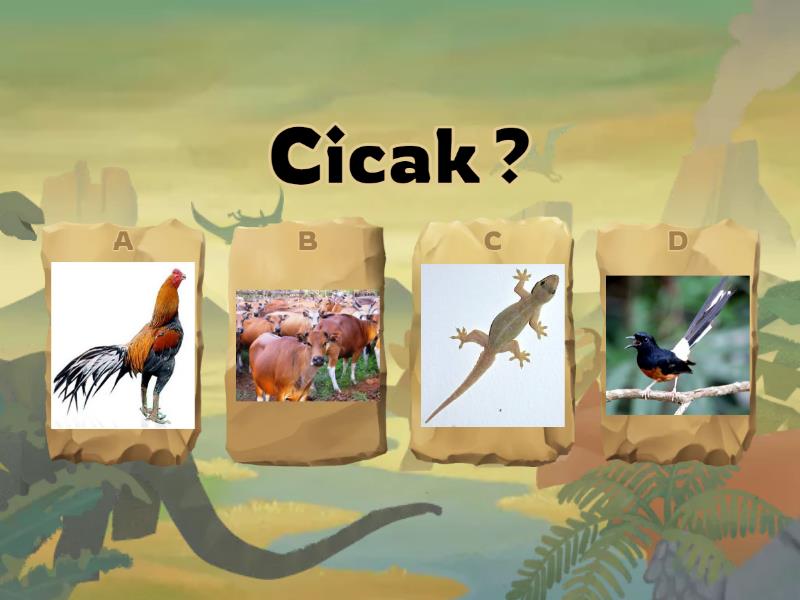 Awalan Huruf C - Quiz