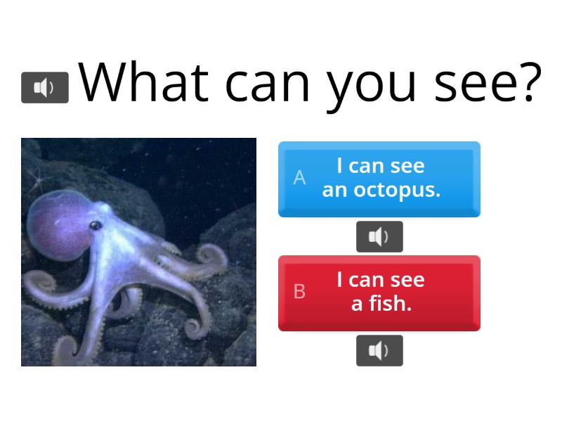 Sea creatures - Quiz