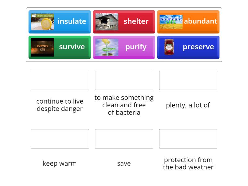 12A- Surviving Extreme Weather- Vocabulary - Match up