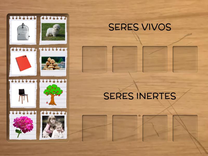 SERES VIVOS E INERTES - Group sort