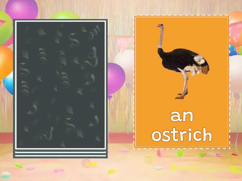 Oo octopus ostrich ox orange - Speaking cards