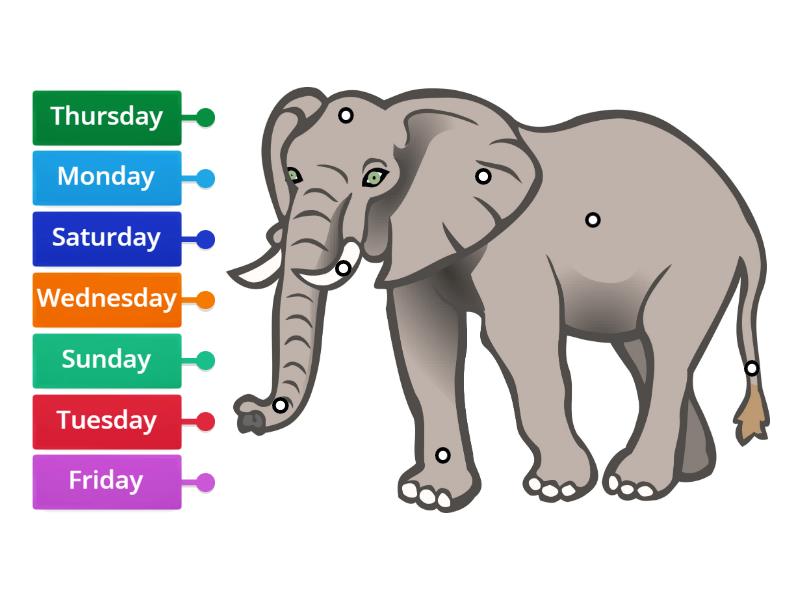Seven Blind Mice - Labelled diagram