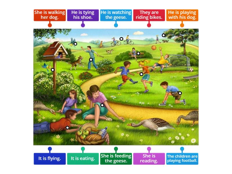 Present Continuous -přiřazování k obrázku - Labelled diagram