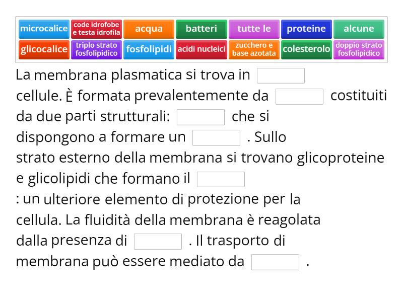 La membrana cellulare - Complete the sentence