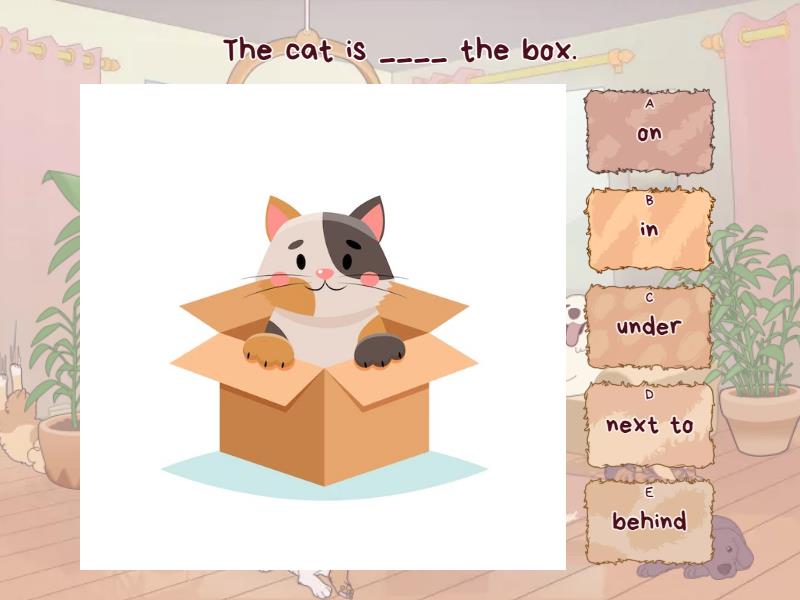 Prepositions of place | The cat & the box - Questionário