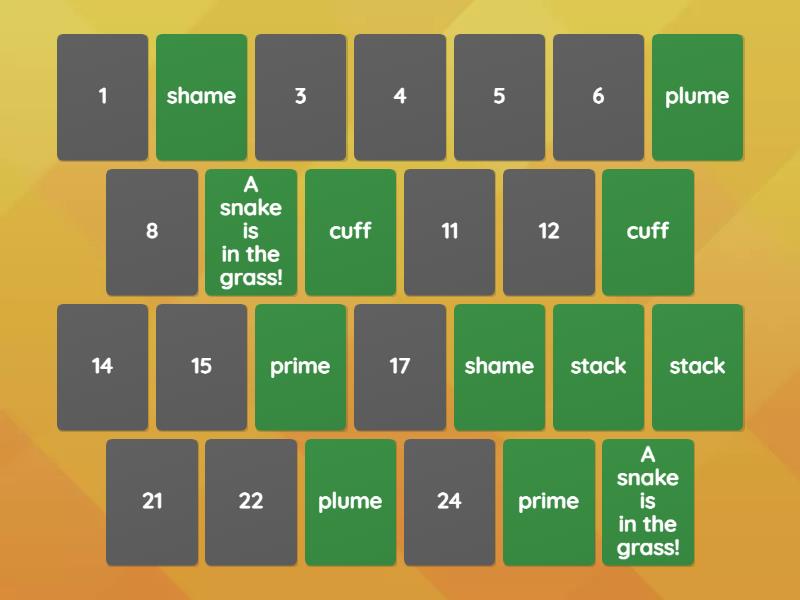 Matching Review (FLSZ, -ck, Magic E, digraphs, blends, plural -s ...