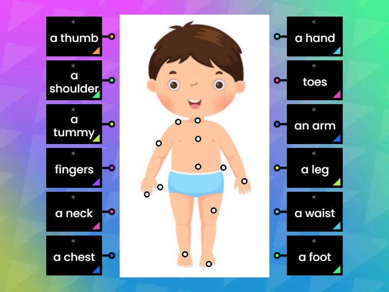 Parts of the body (1B U.2 P.79-80 Vocab Booster) - Labelled diagram