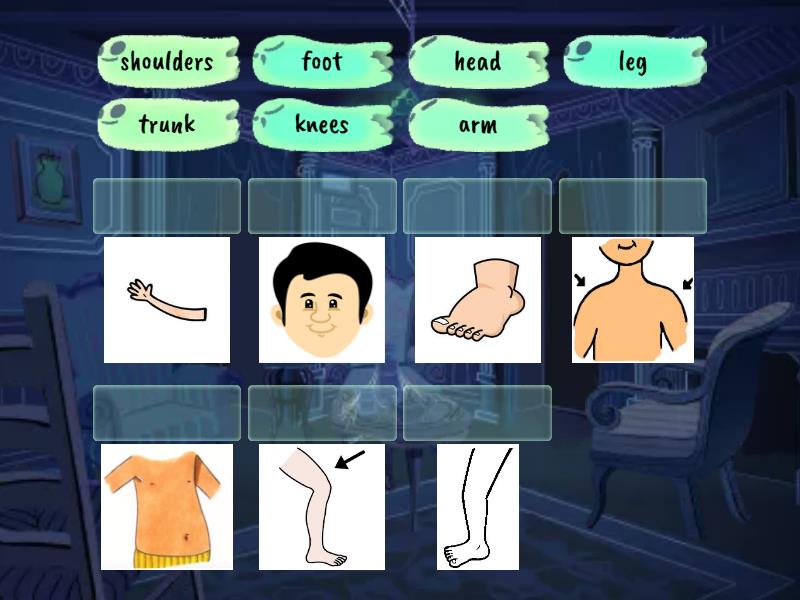 Parts of the body - Match up