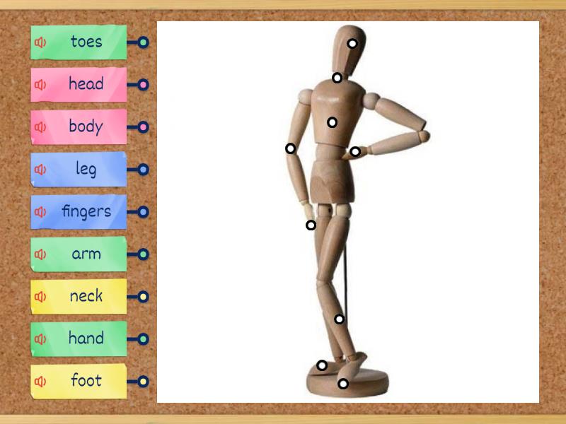 Go Getter 1 Unit 4.2 Parts of the body - Labelled diagram