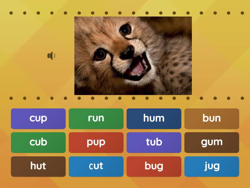 Fast Phonics 1 unit 4 - Find the match