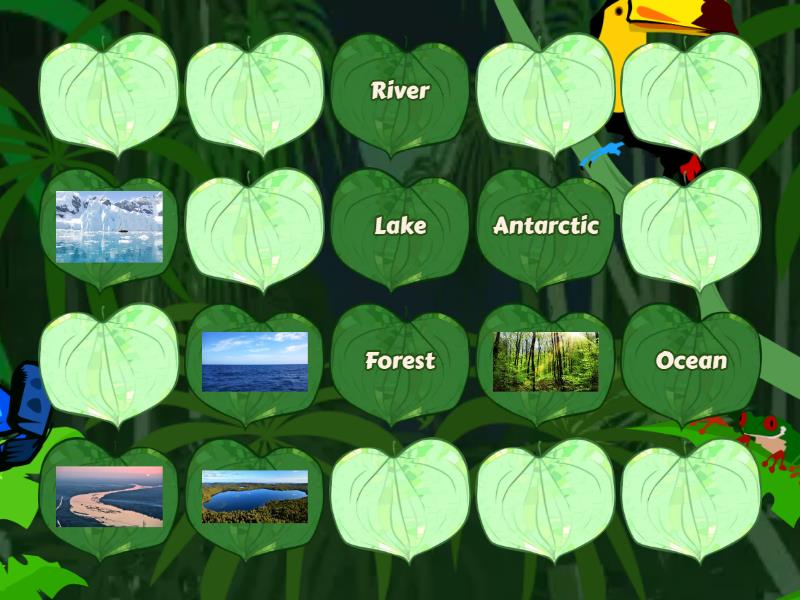 7th grade - Matching pairs